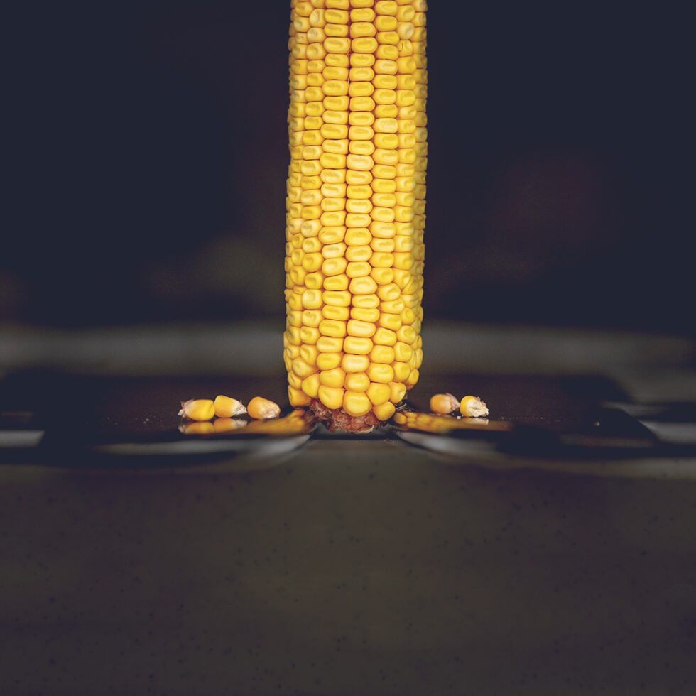 Straight Edge Gathering AREA STRIPPER PLATES | Calmer Corn Heads