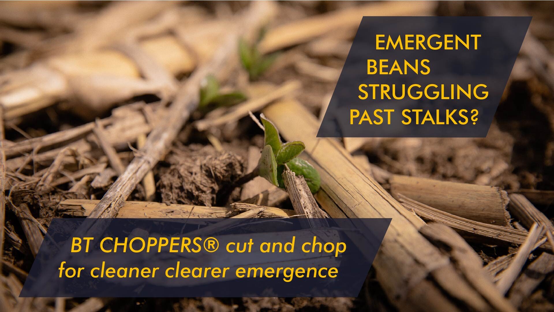 BT CHOPPER® Confetti residue Decay Cycle for Nitrogen Benefits