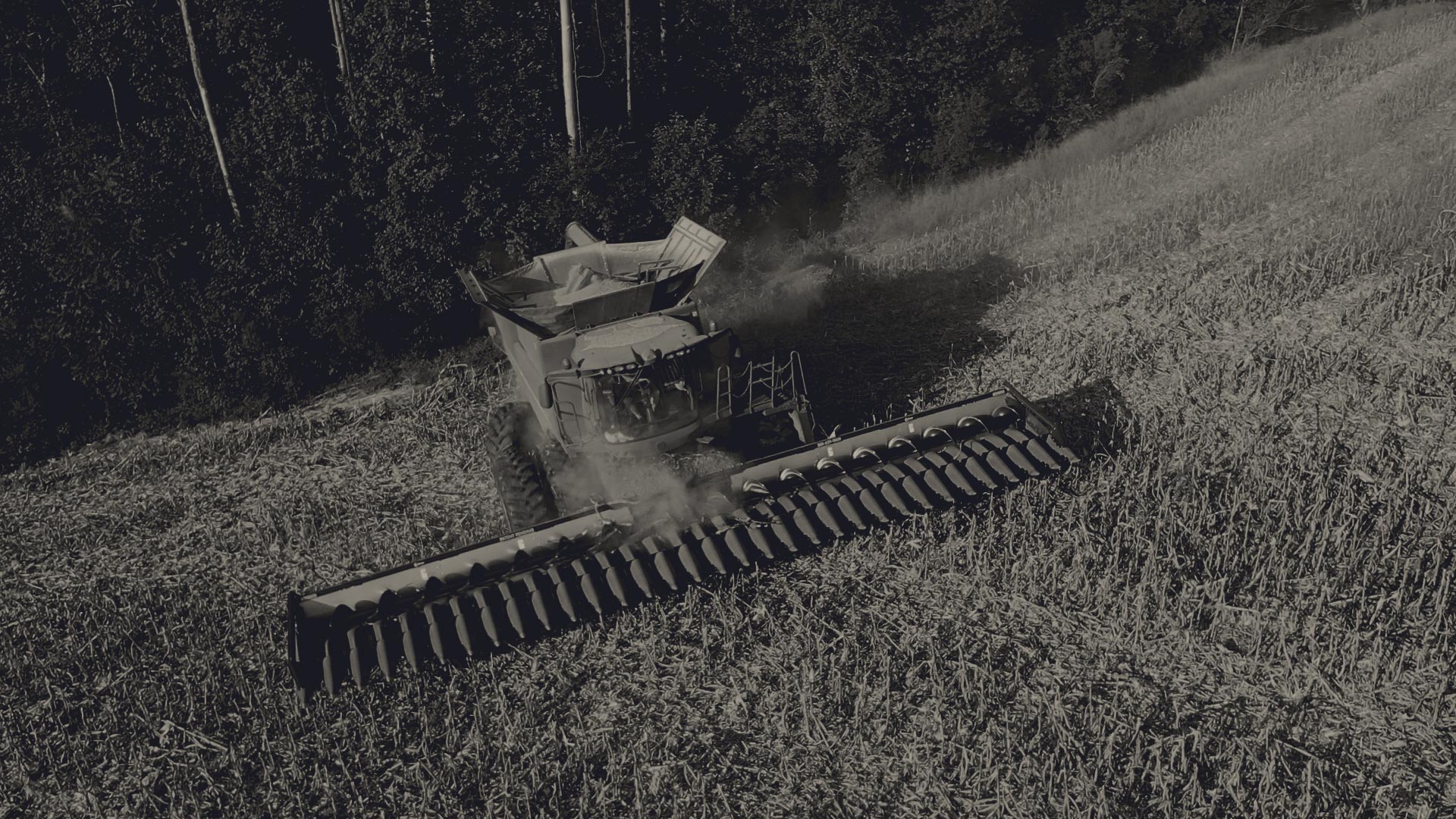 Learn to Plant, Grow, Harvest and Research Narrow Row Corn